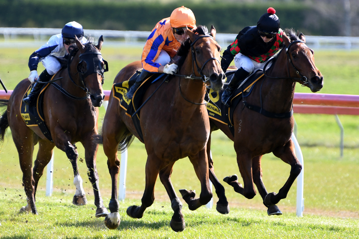 Stella Splendida impresses on debut - LOVERACING.NZ