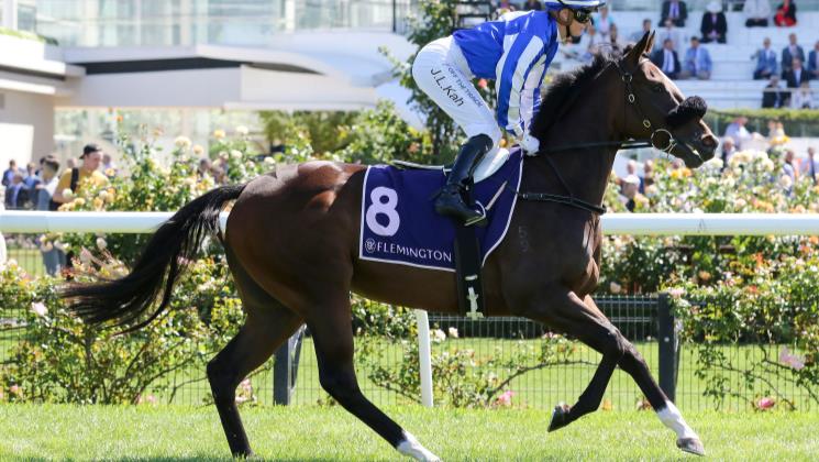 Kiwi-bred filly looks to add to Group One record in Stradbroke ...