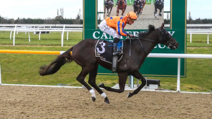Te Akau make presence known in the South - LOVERACING.NZ