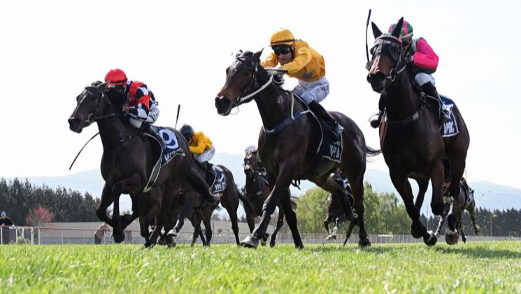 Didham’s southern undertaking a dual purpose exercise - LOVERACING.NZ