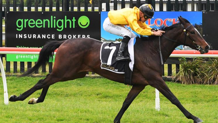 Psyclone opens winning account at Rotorua - LOVERACING.NZ