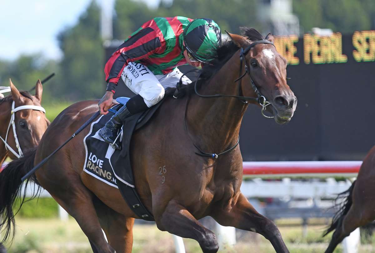 Trainers keen on black-type chances at Te Rapa - LOVERACING.NZ