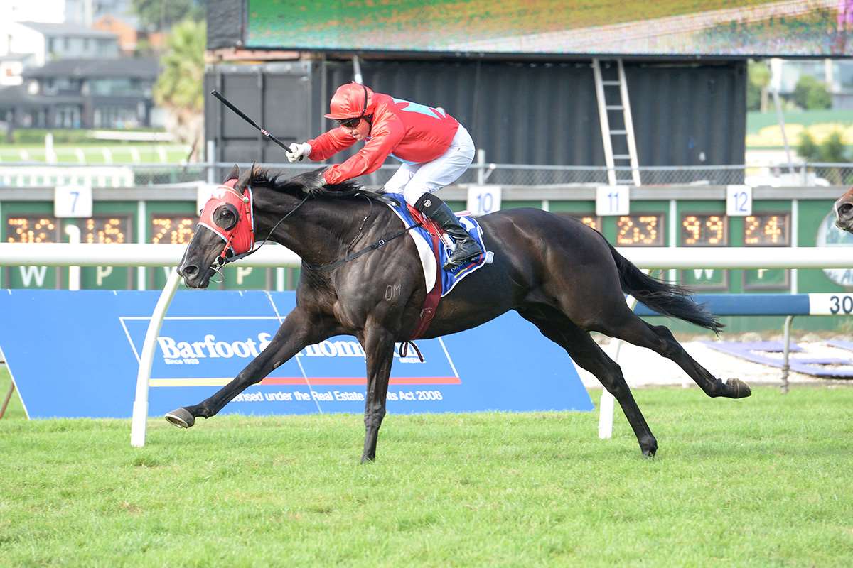 Bradley officially hanging up riding boots - LOVERACING.NZ