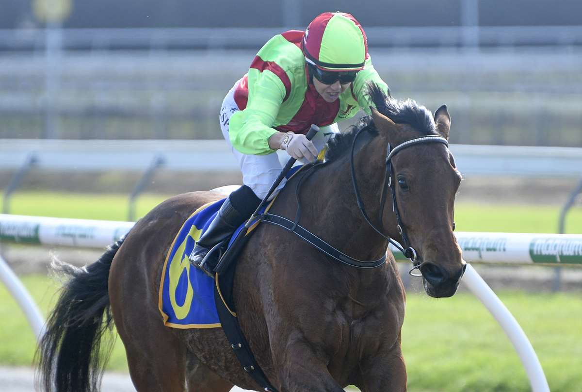 Spanish Lad makes winning turn for Bell - LOVERACING.NZ