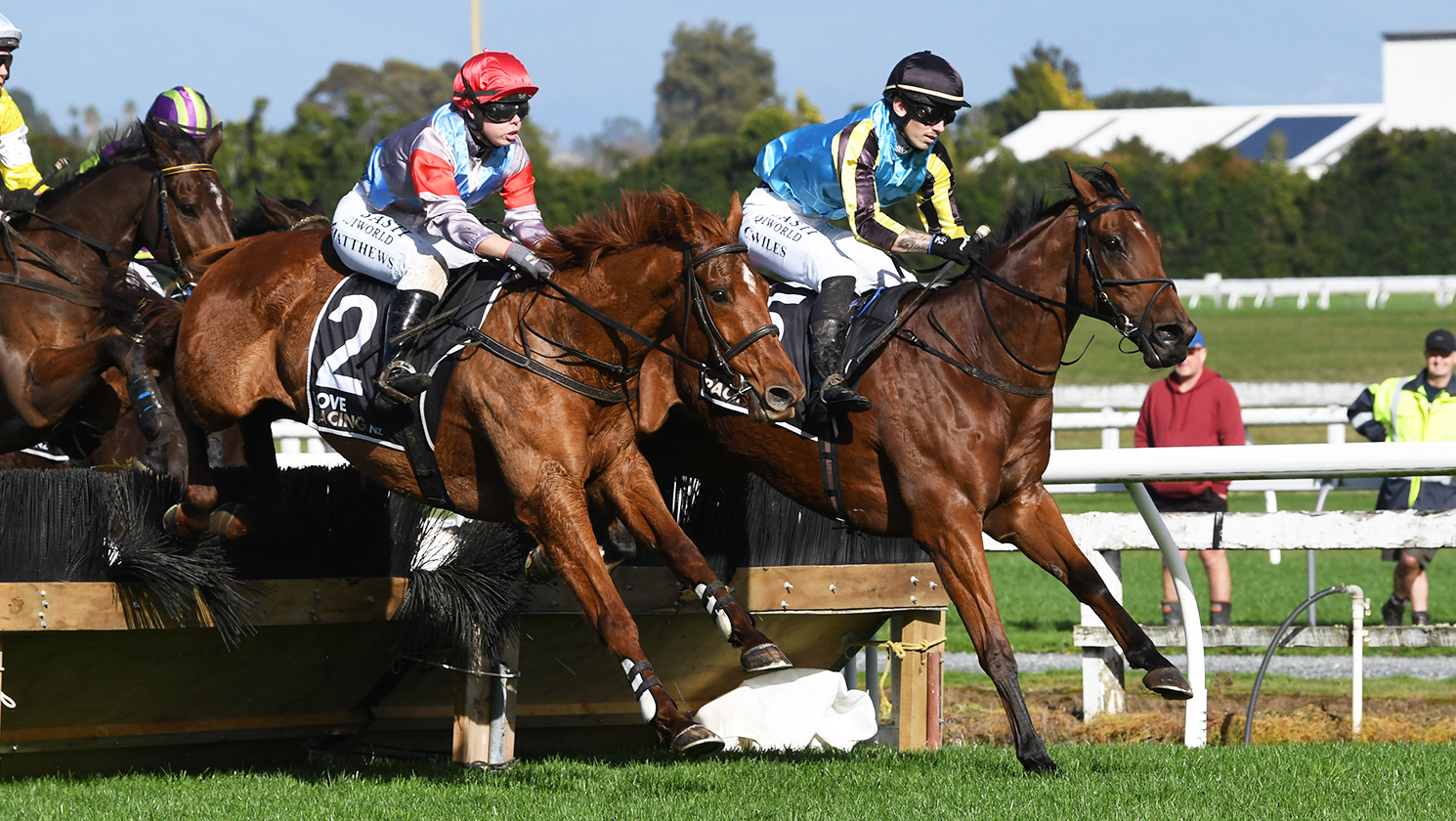 NZTR to Consult on Future of Jumps Racing - LOVERACING.NZ