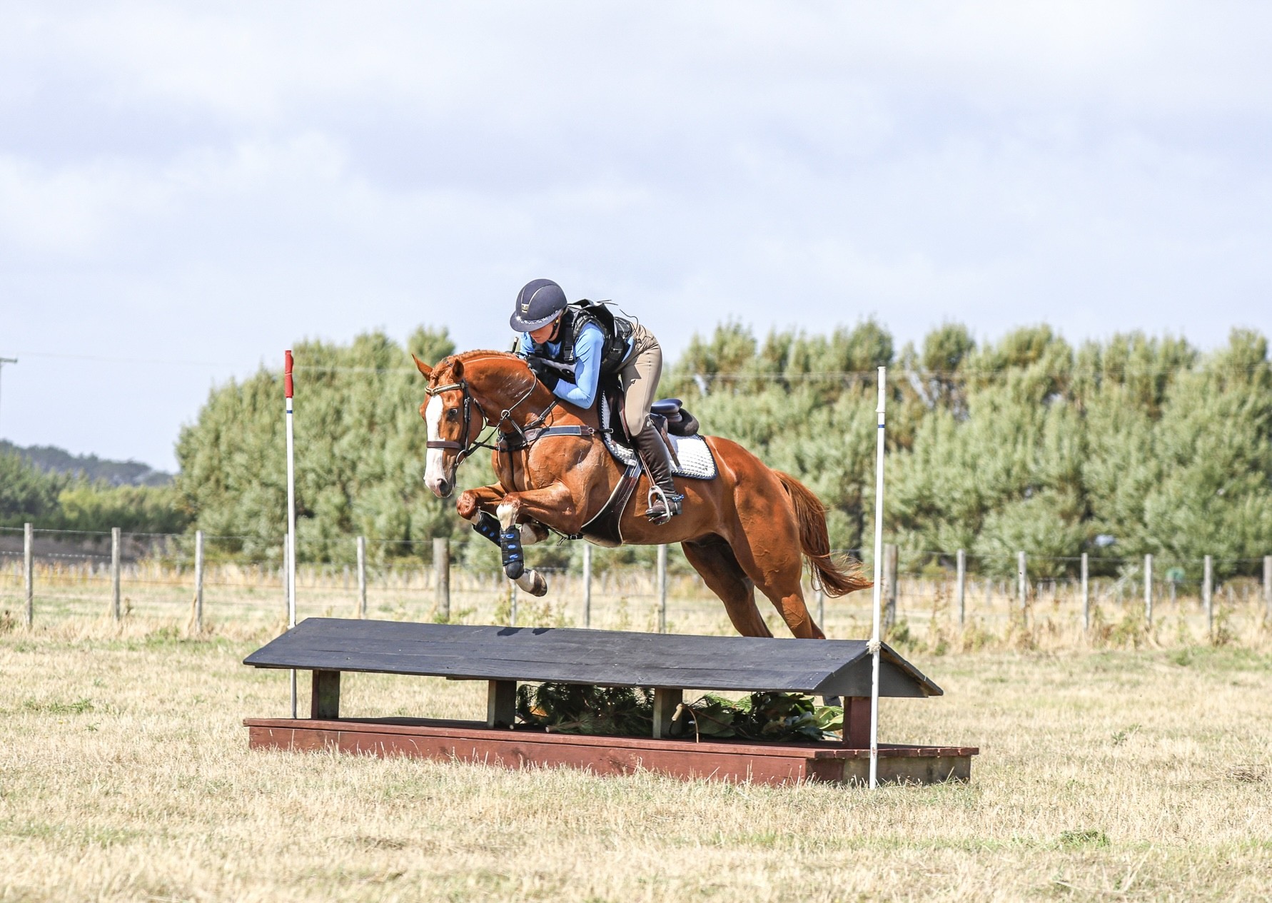 Knight ready to jump into TiES series - LOVERACING.NZ