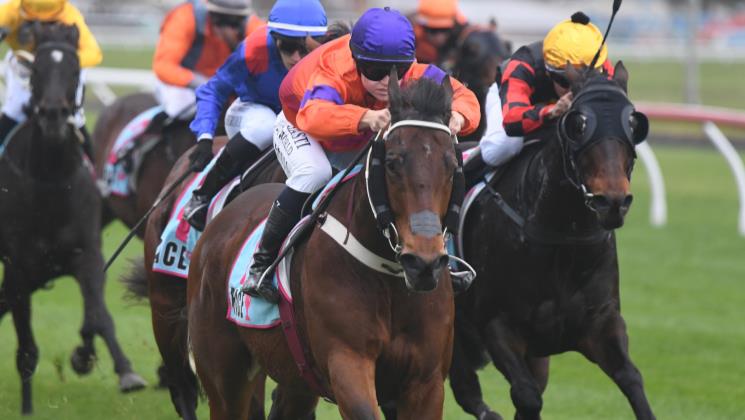 First-up formula pays off again with Spencer - LOVERACING.NZ