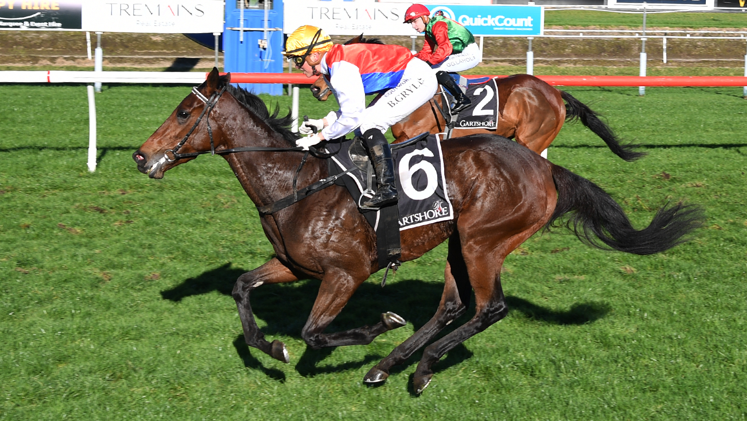 Slick filly provides first winner for Grey - LOVERACING.NZ