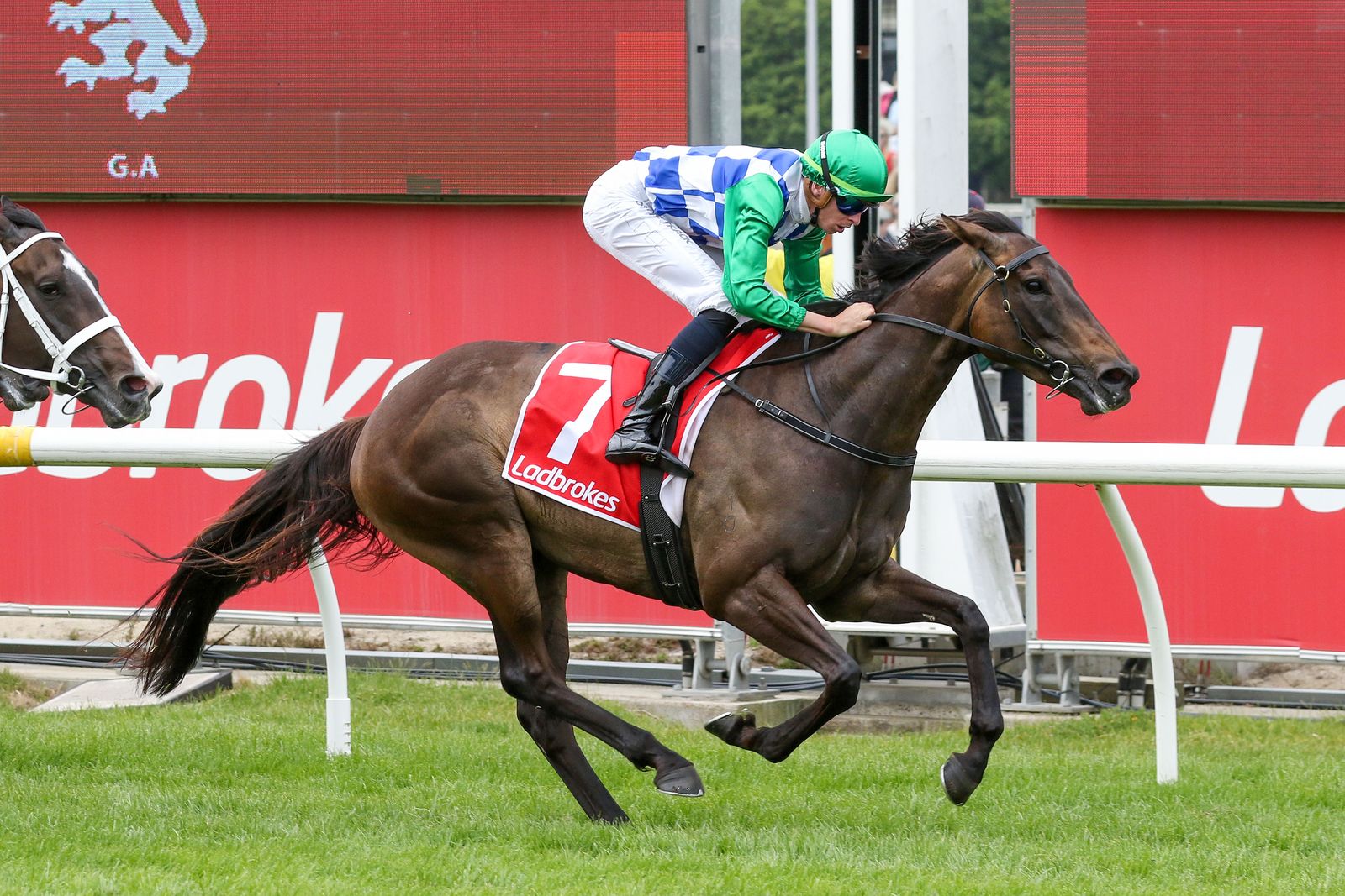 Grid Girl goes back-to-back with Cranbourne success - LOVERACING.NZ