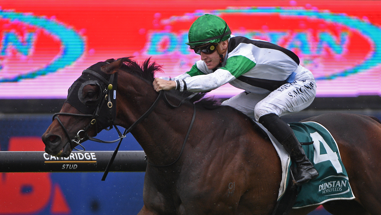 Stakes targets in the offing for Maldini following Boxing Day win ...