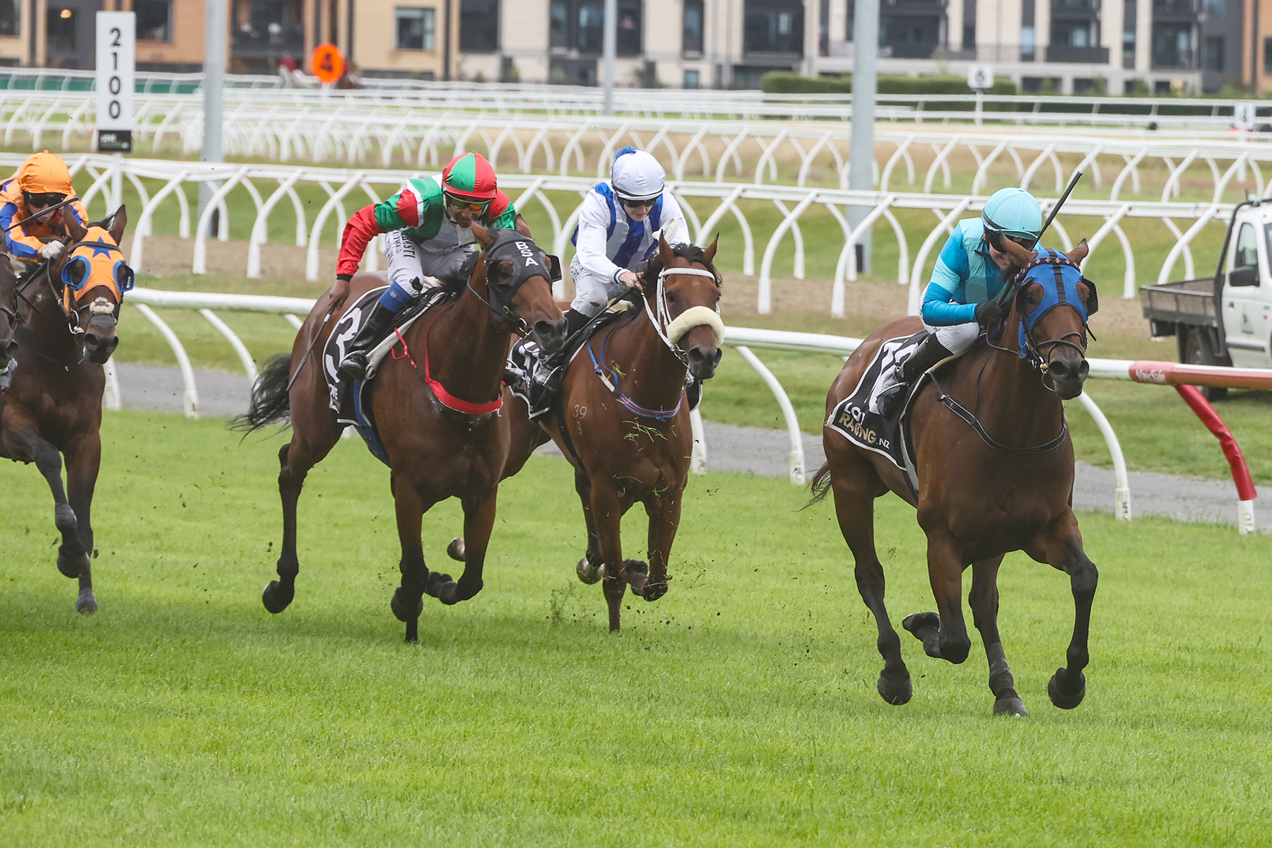 Northern mare takes Timaru Stakes - LOVERACING.NZ